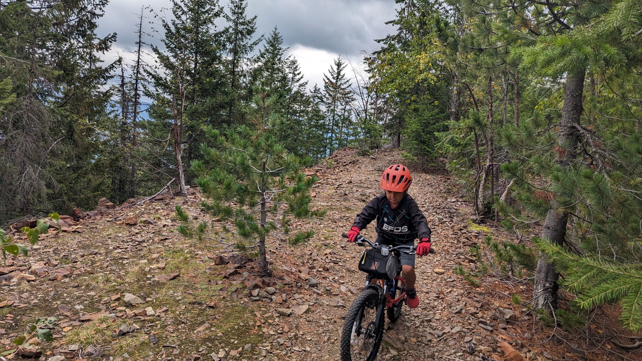 Home - Public Land Use Society